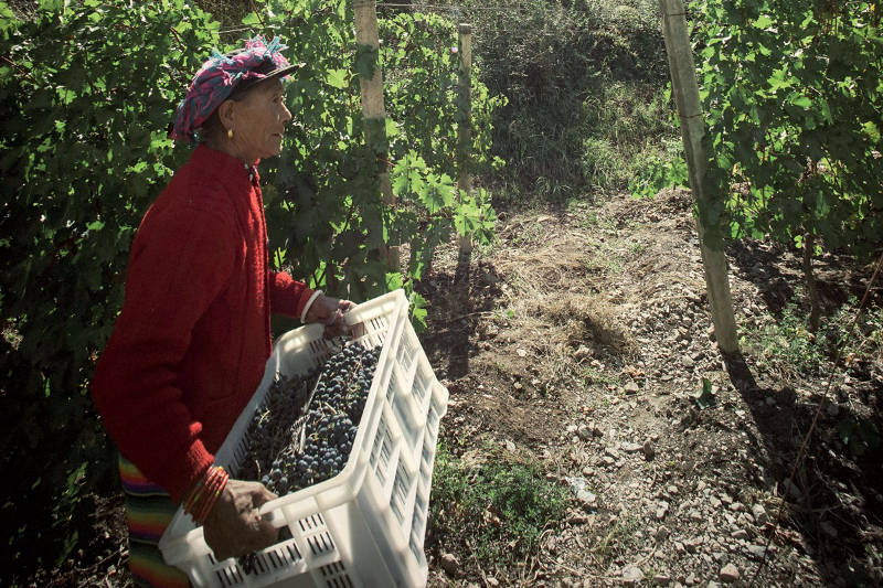 The real China Wine: The secrets behind Ao Yun, the delicious LVMH ...