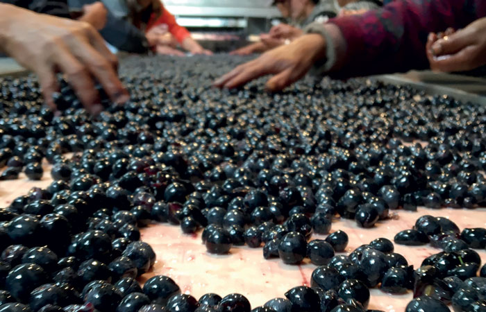 The real China Wine: The secrets behind Ao Yun, the delicious LVMH ...