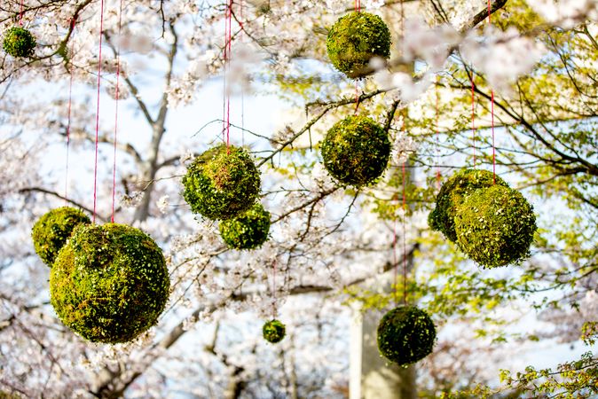 Nicolai Bergmann’s spectacular floral creations - The Peak Malaysia