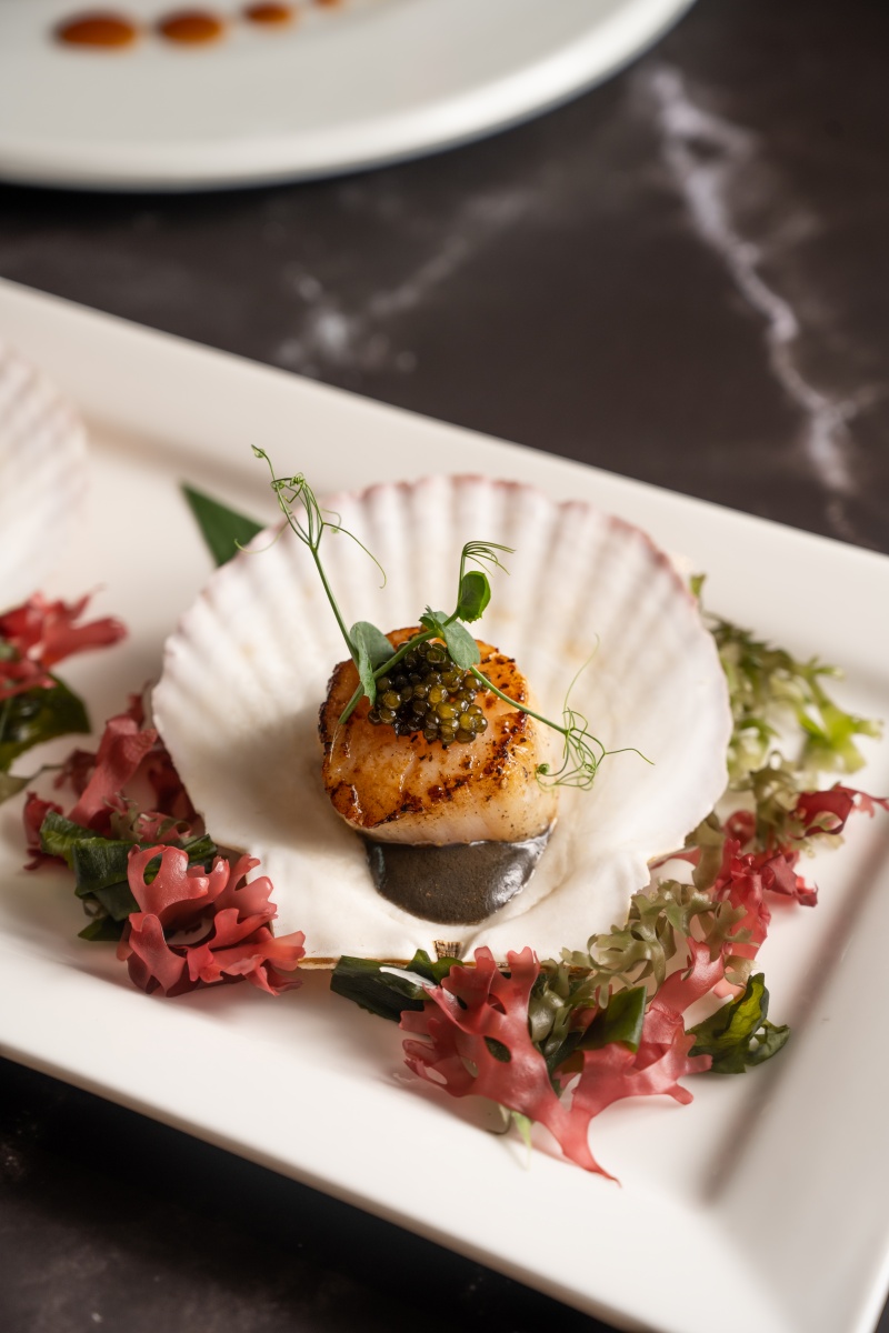 Black Gold Osusume: A Seasonal Culinary Encounter Like No Other At Nobu ...