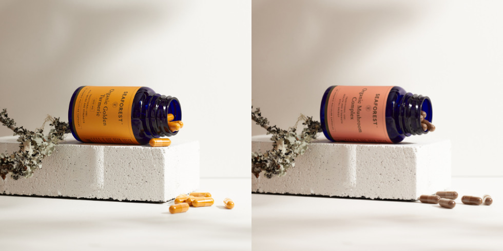 Introducing Seaforest – Where Science Meets Tradition | The Peak Malaysia