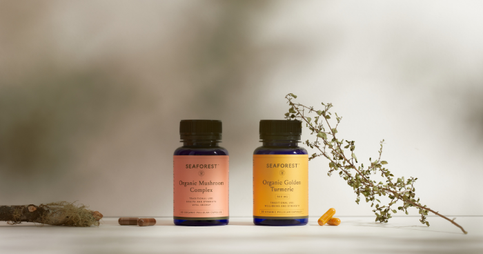 Introducing Seaforest – Where Science Meets Tradition | The Peak Malaysia