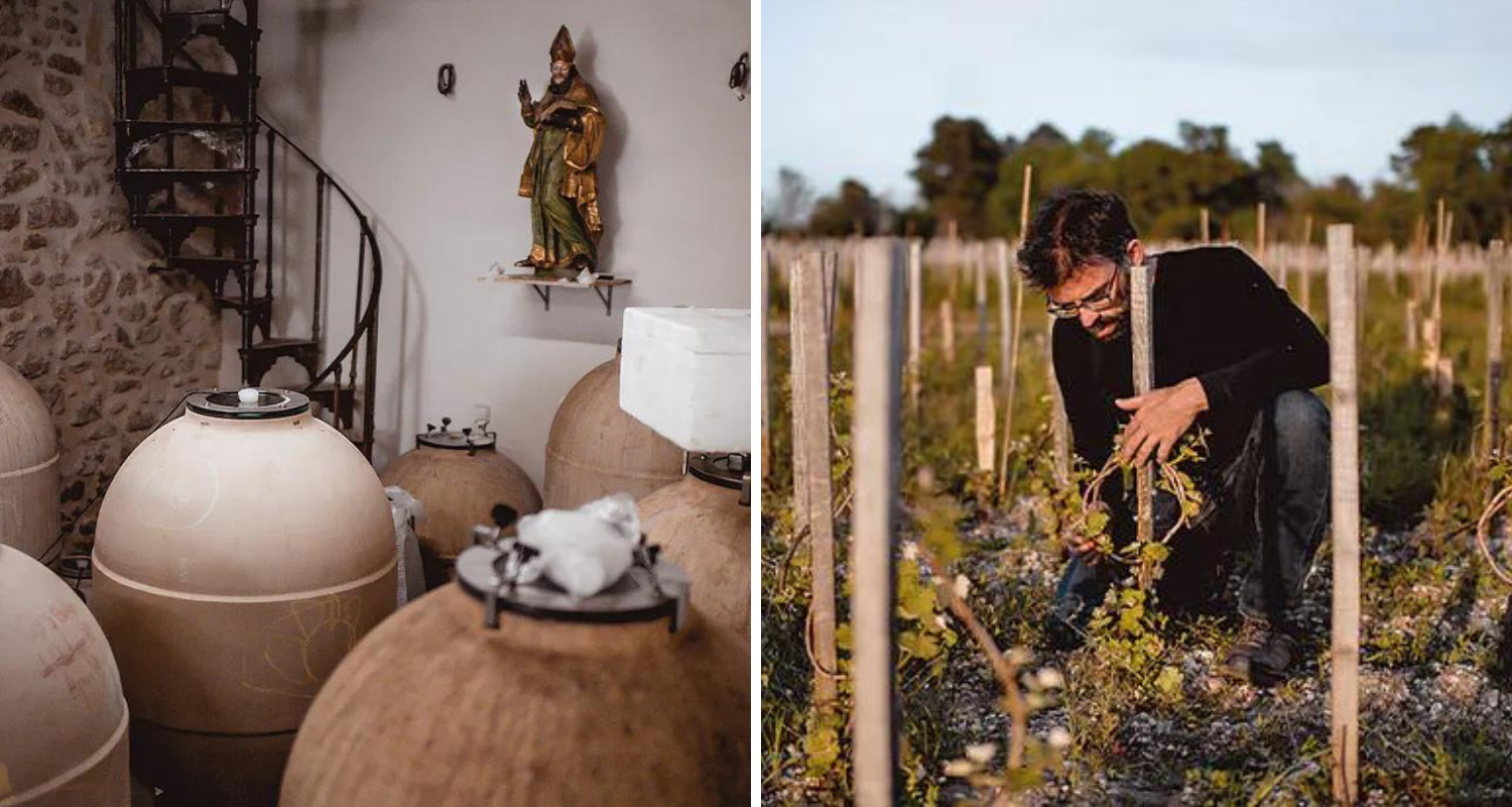 What goes behind the making of the world’s most expensive wine | The ...